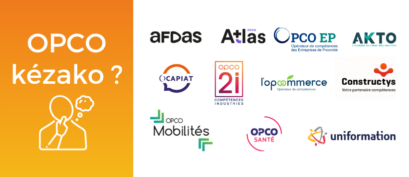 Tout savoir et comprendre les OPCO | Digilangues | Cours de langues en visioconférence